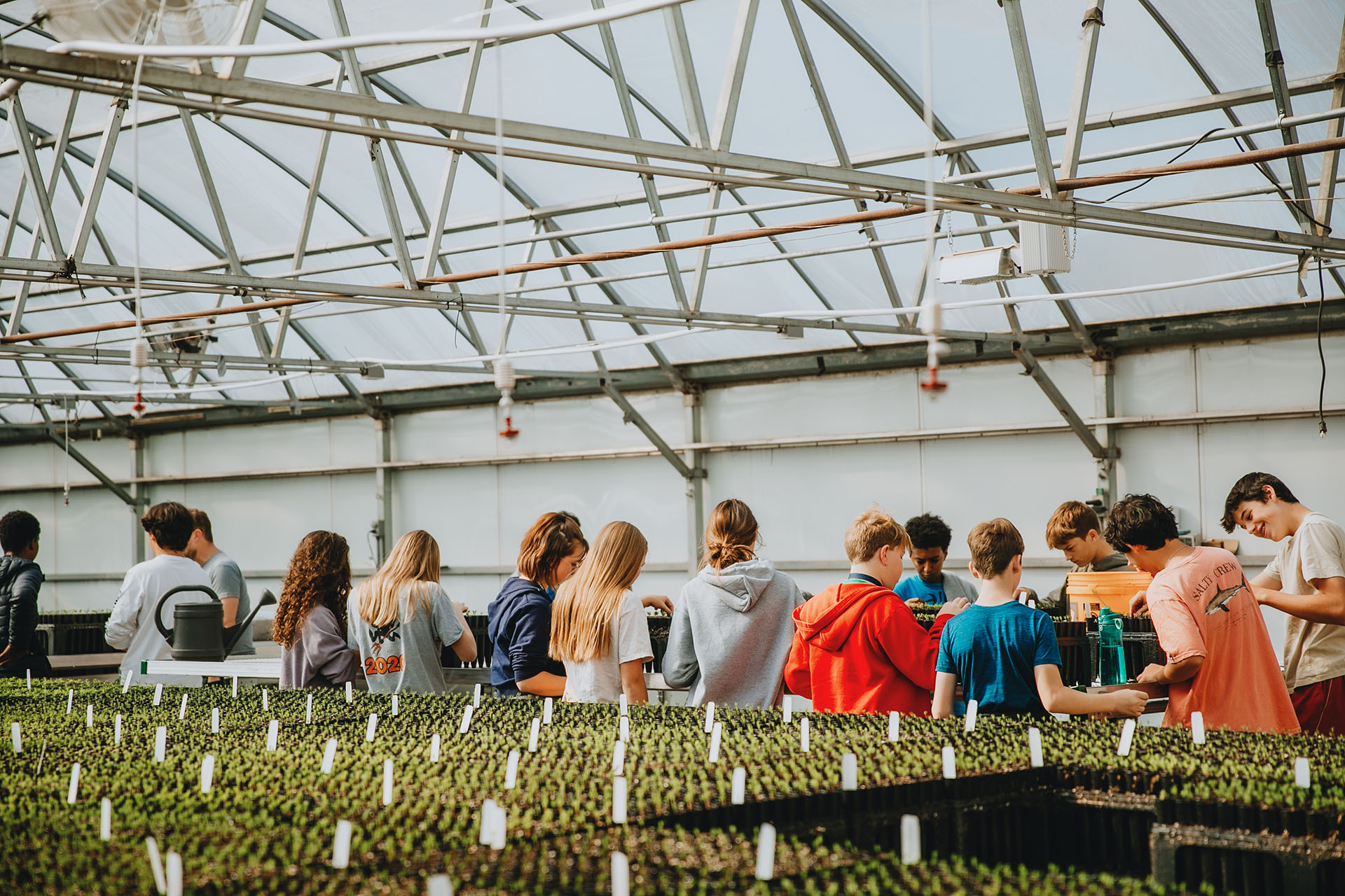 Let's Collaborate - OneCanopy